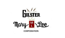 logo-gilster – Stars of Hope